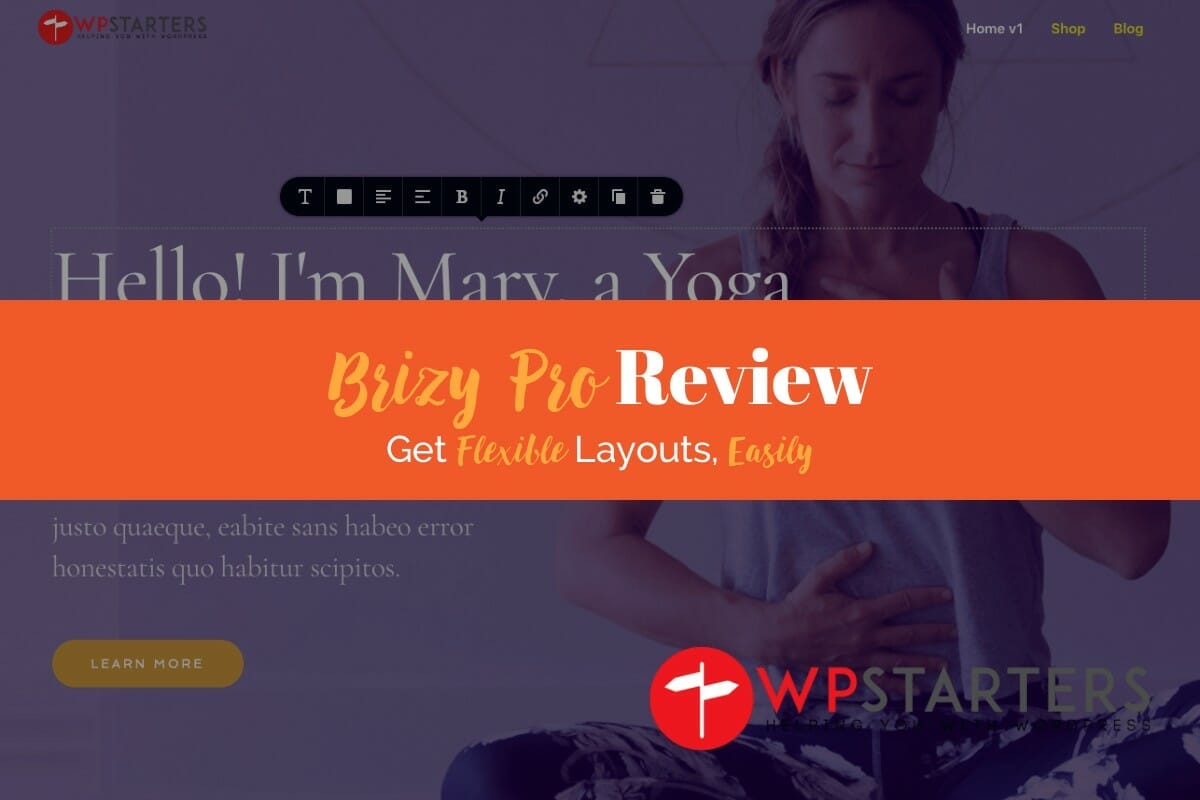 Brizy Pro Review: Get Elegant Layouts, Easily